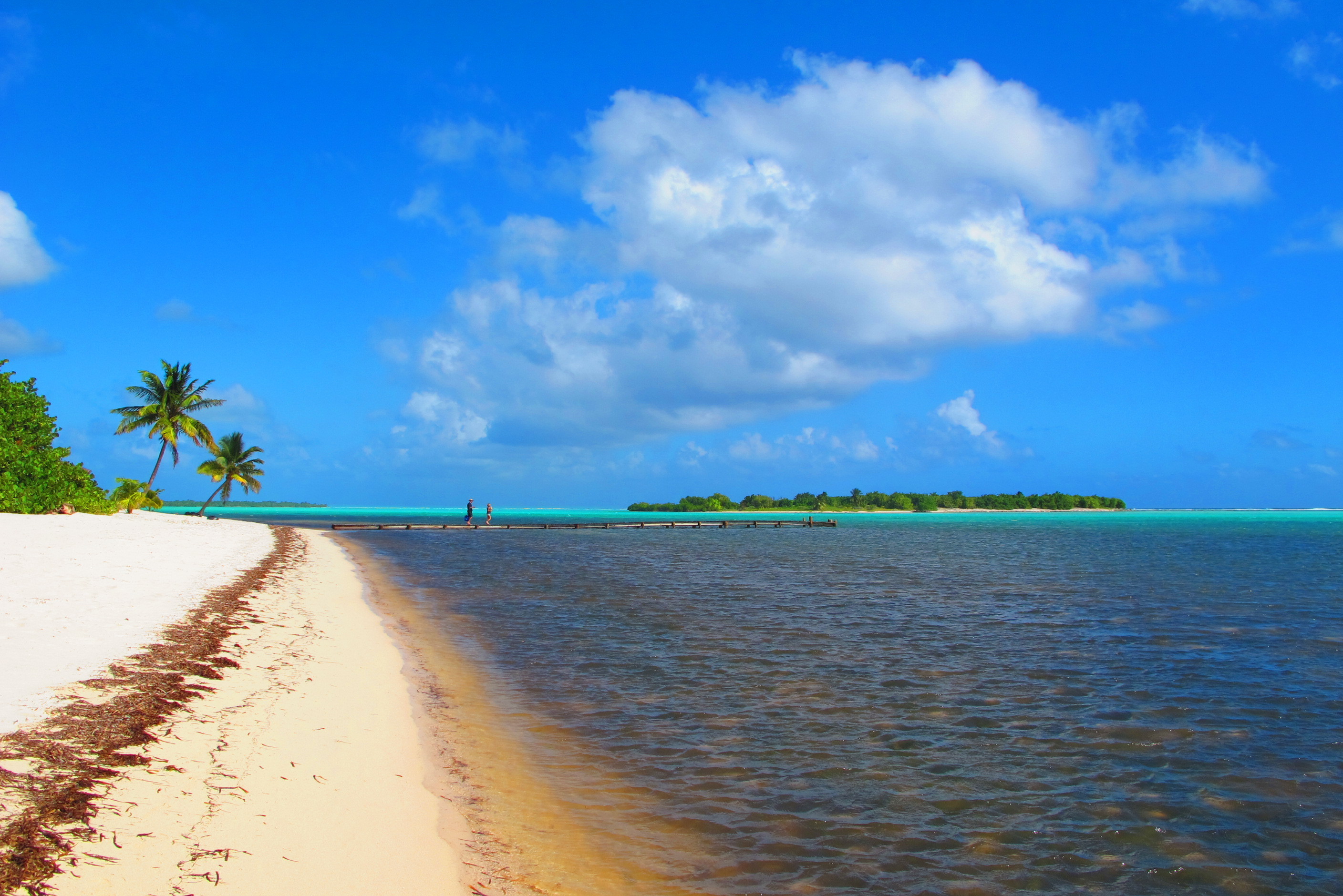 Cheap car rentals in Little Cayman, Cayman Islands | Kiwi.com