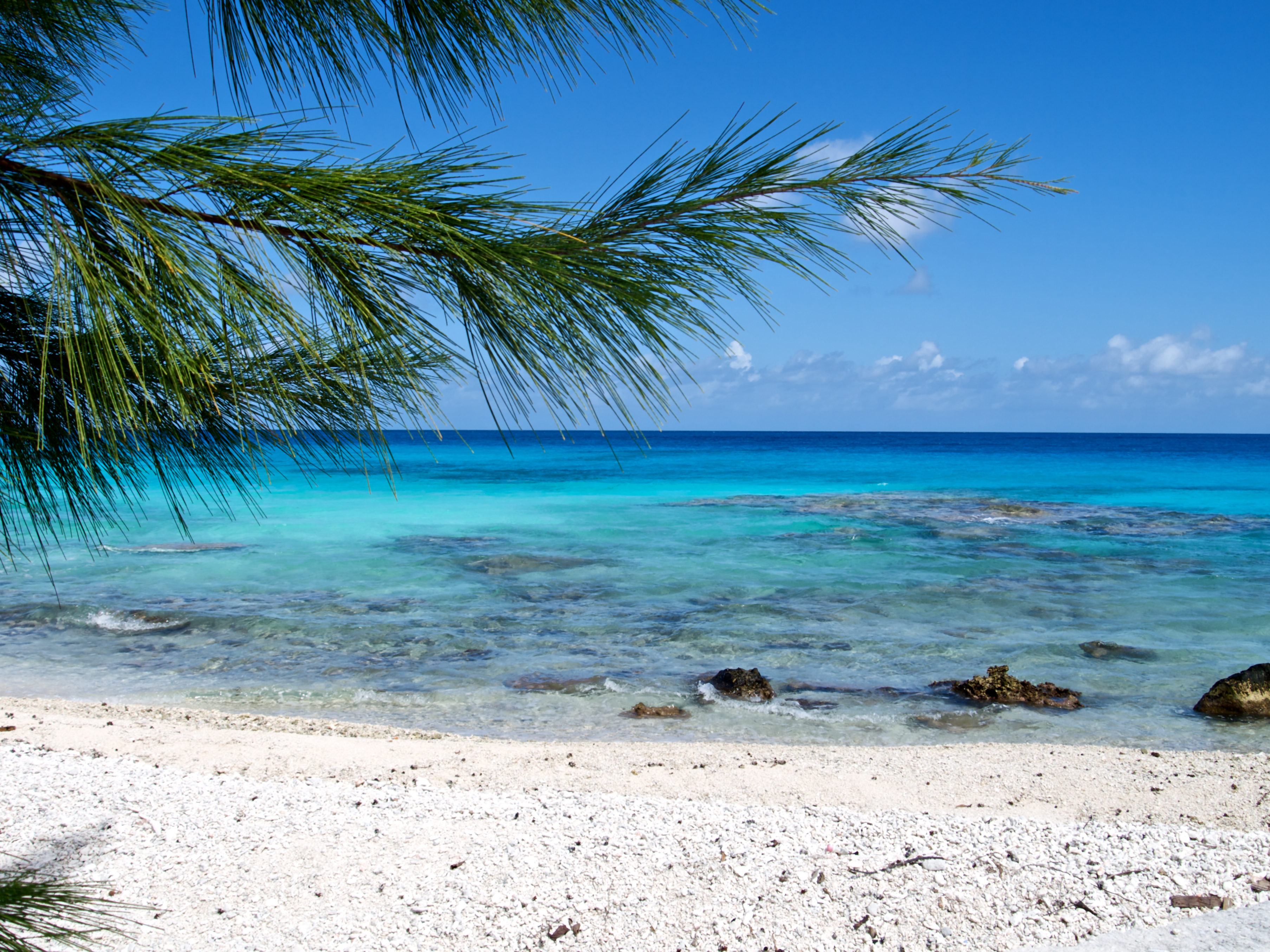 Cheap car rentals in Rangiroa, French Polynesia | Kiwi.com